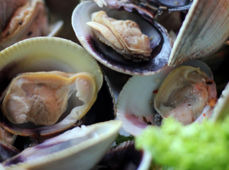 Delicious Ginger & Coconut Steamed Clams - Hospitality Business