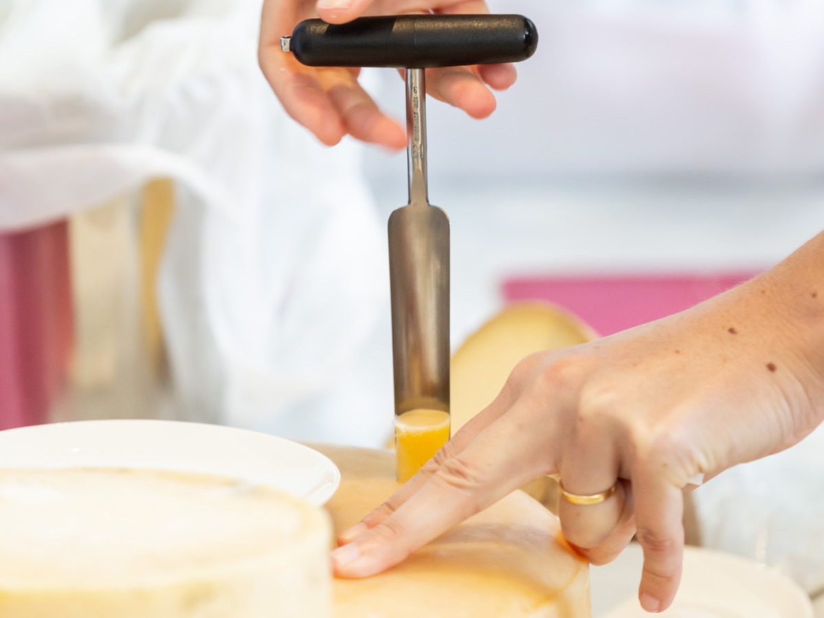 NZ Champions of Cheese trophies announced - Hospitality Business